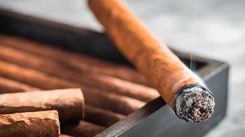 What Humidity for Cigars? Guide to Ideal RH and Storage Tips