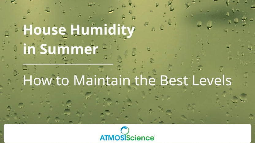 Mastering home humidity in winter: Your ultimate comfort guide